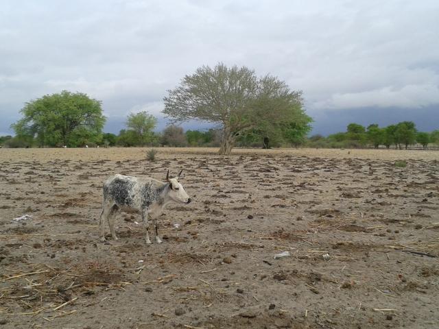 Climate radio show looks at the importance of drought management in ...